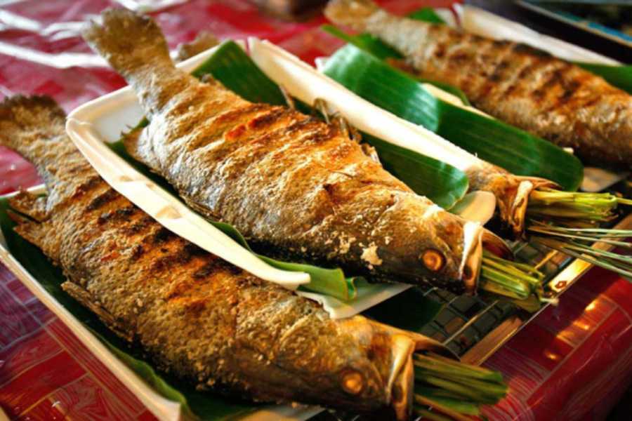 Mu Cang Chai Travel Guide | Hidden Gem & Rice Terraces of Vietnam